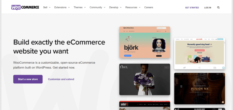 What is Ecommerce? Definitions, Examples, And The Origin of Online Shopping